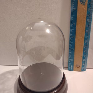 Spider Nest in a Globe - Light - Etsy