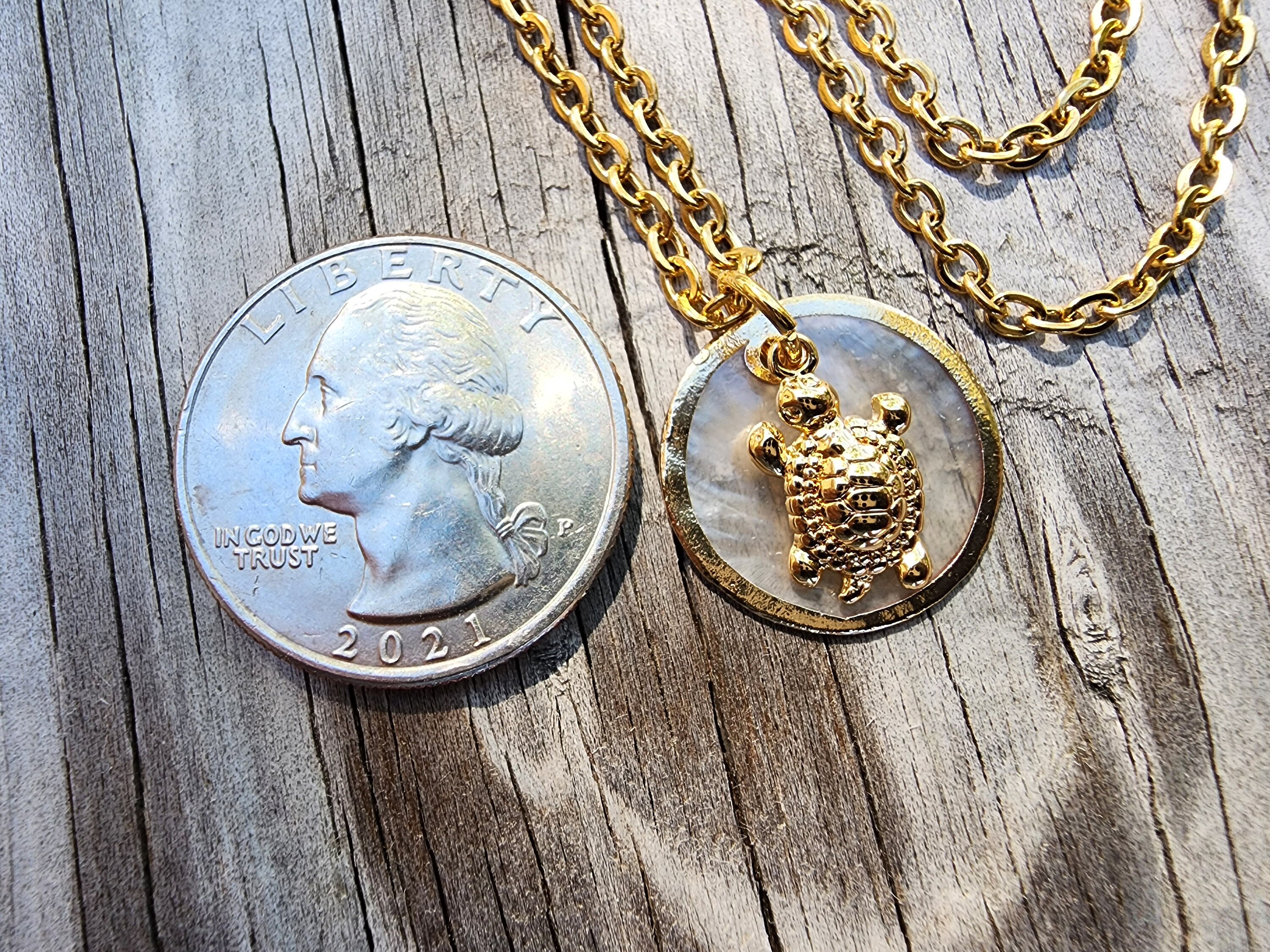 Dainty Gold Turtle Capiz Shell Necklace on Gold Chain - Etsy
