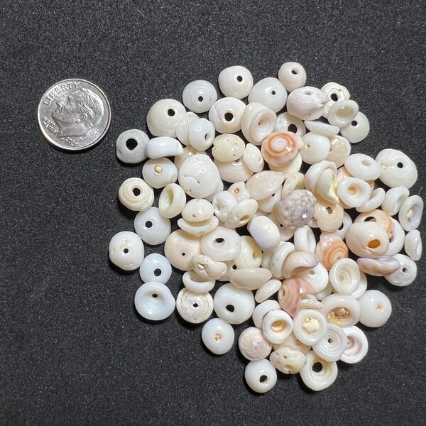 Puka Shells - Etsy