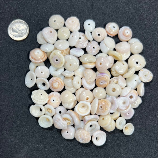 Puka Shells - Etsy