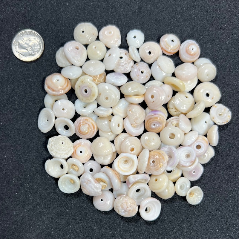 Puka Shells - Etsy