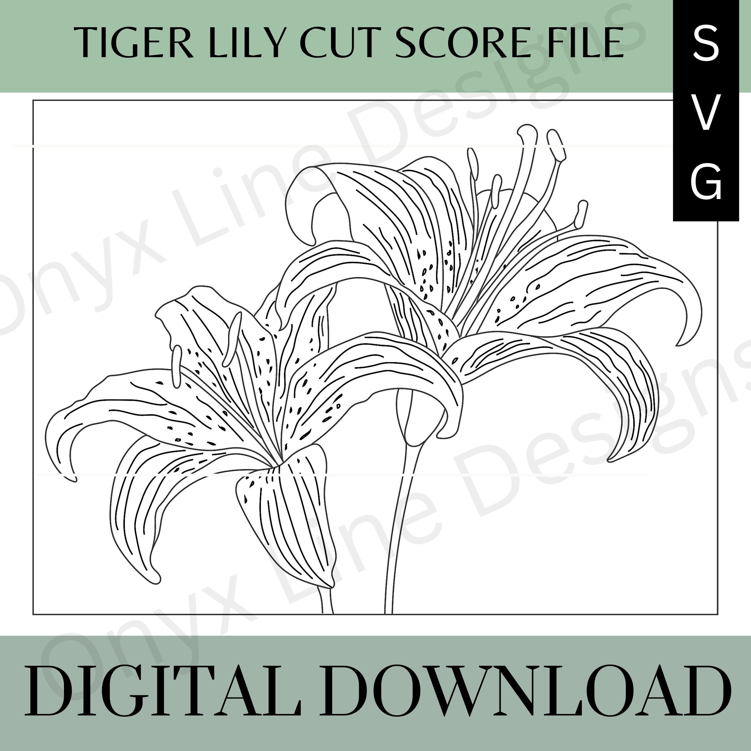 Tiger Lily Cut SCORE Glowforge Two Files Laser Thunder Aeon Floral Cut ...