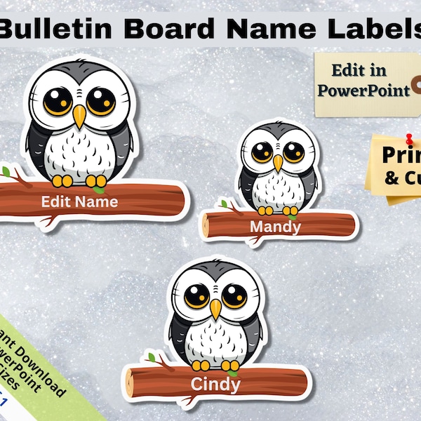 Owl Door Decor - Etsy