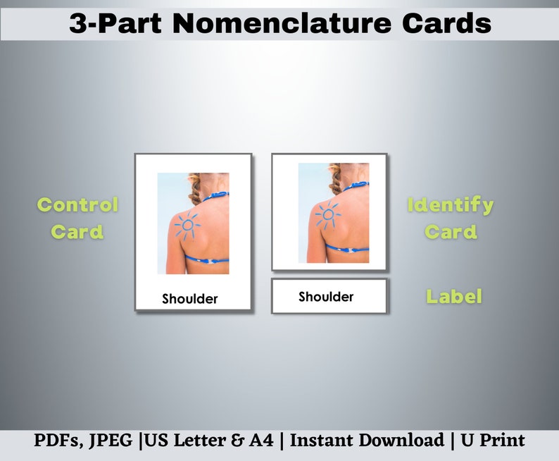 Body Parts Flashcards Printable, Editable Montessori Nomenclature 3 ...