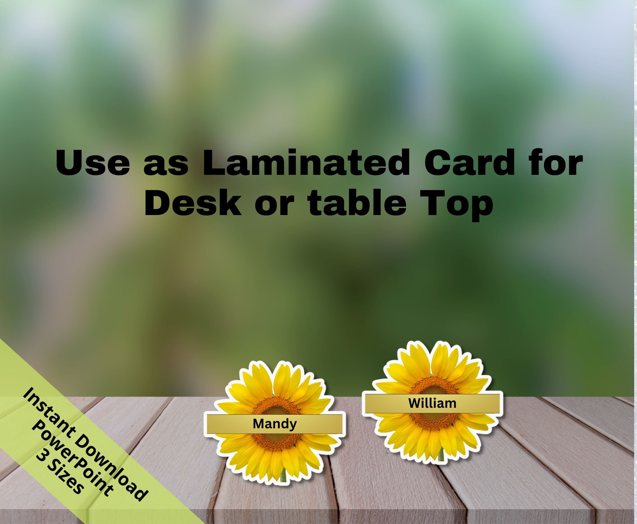 Sunny Sunflower, Editable Student Name Tags PRINTABLES, Classroom ...