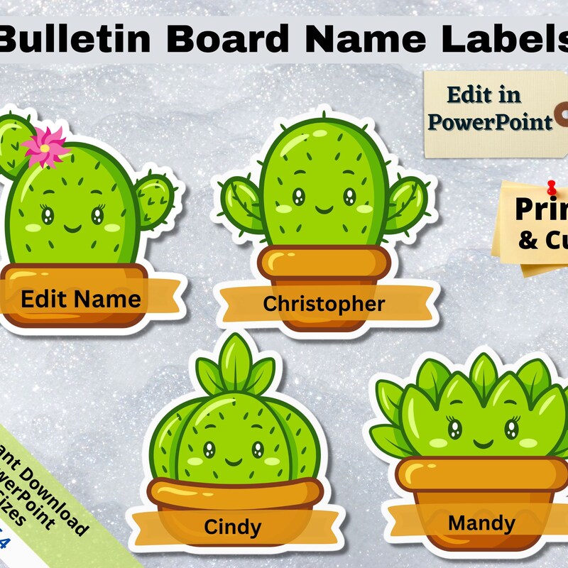 Classroom Cactus - Etsy