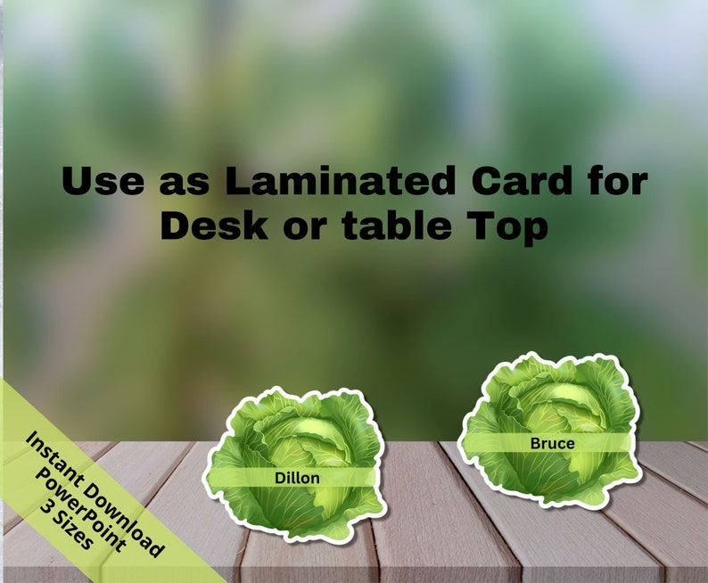 Cabbage Name Tags: Editable Classroom Decor (powerpoint Digital ...
