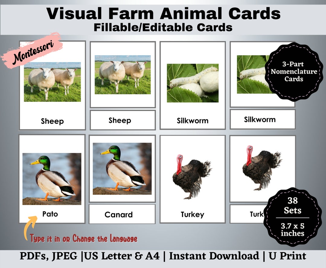 Farm Animals Flashcards Printable, Editable Montessori Nomenclature 3 ...