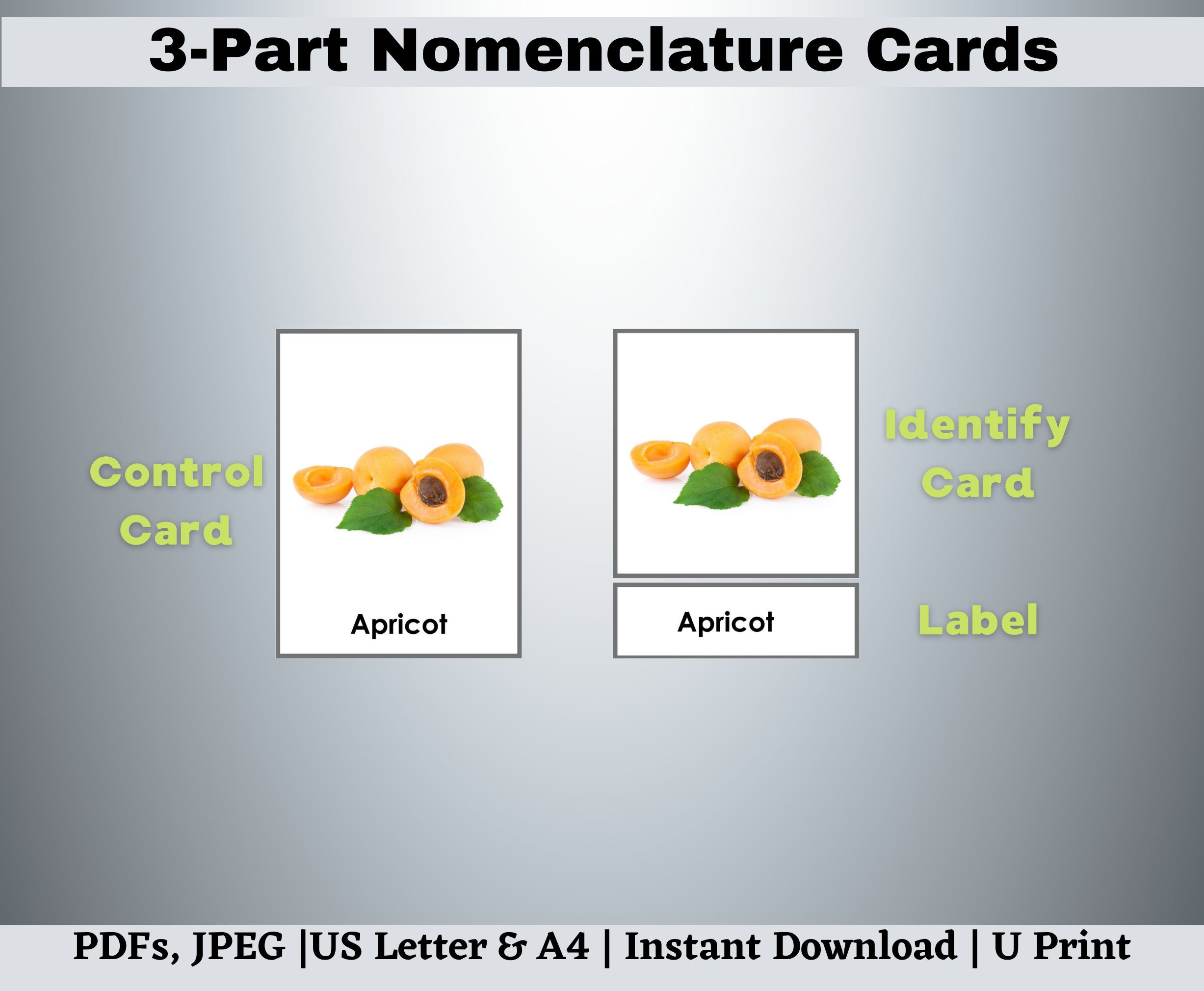 Fruits Flashcards: Montessori 3-part Cards With Real Pictures ...