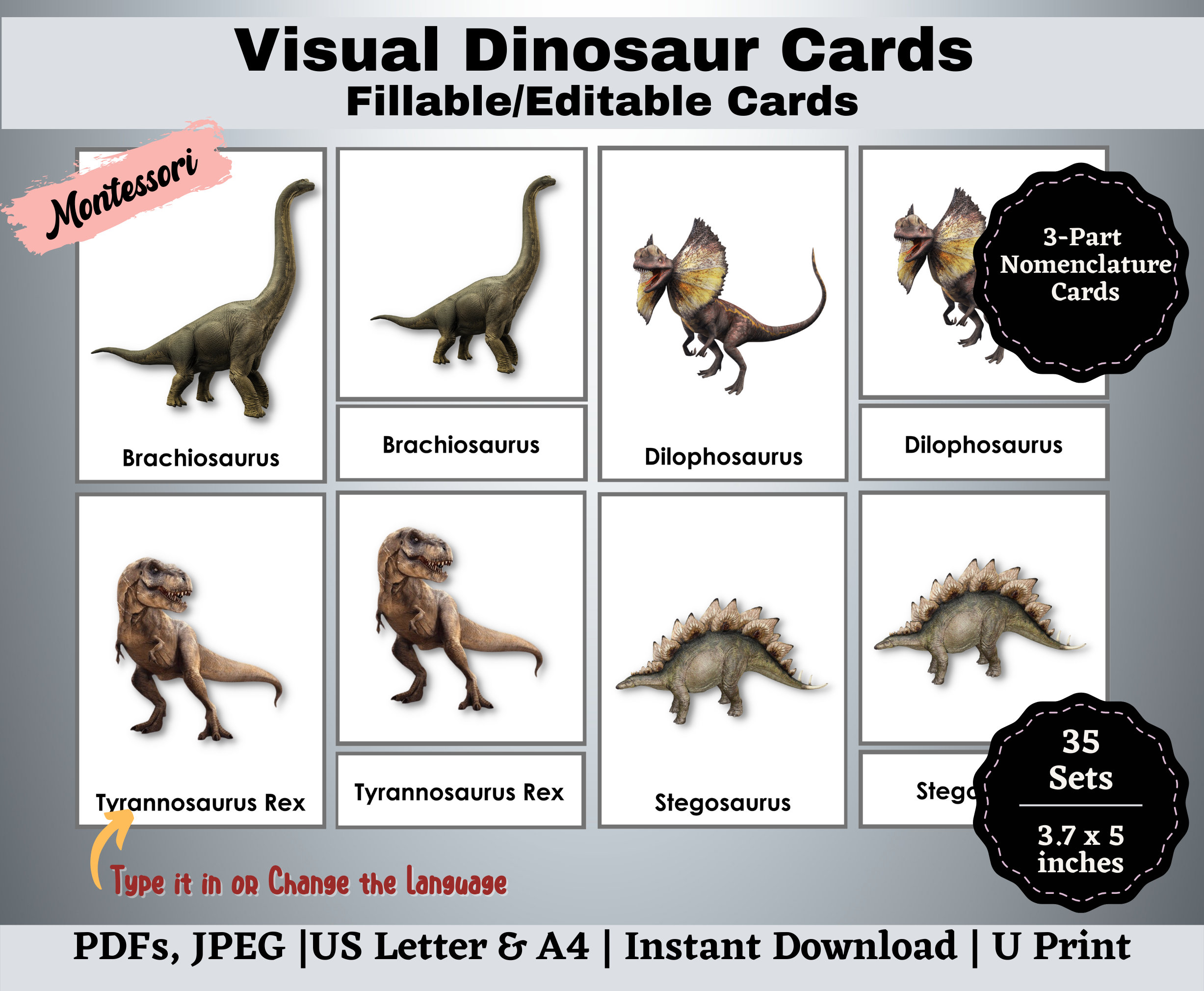 Dinosaurs Flashcards Printable, Editable Montessori Nomenclature 3-part ...