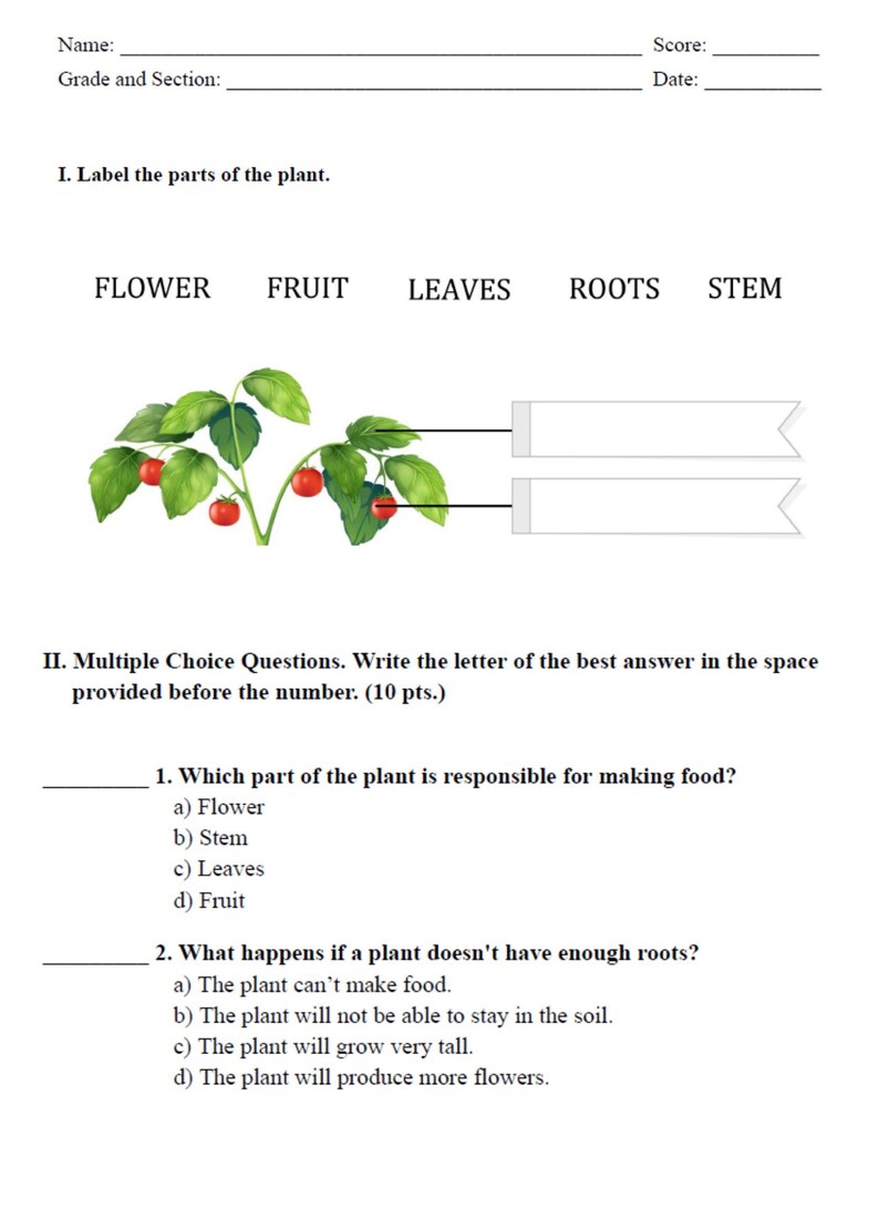 Parts of A Plant the Dr. Binocs Show Learn Videos for Kids Worksheet ...