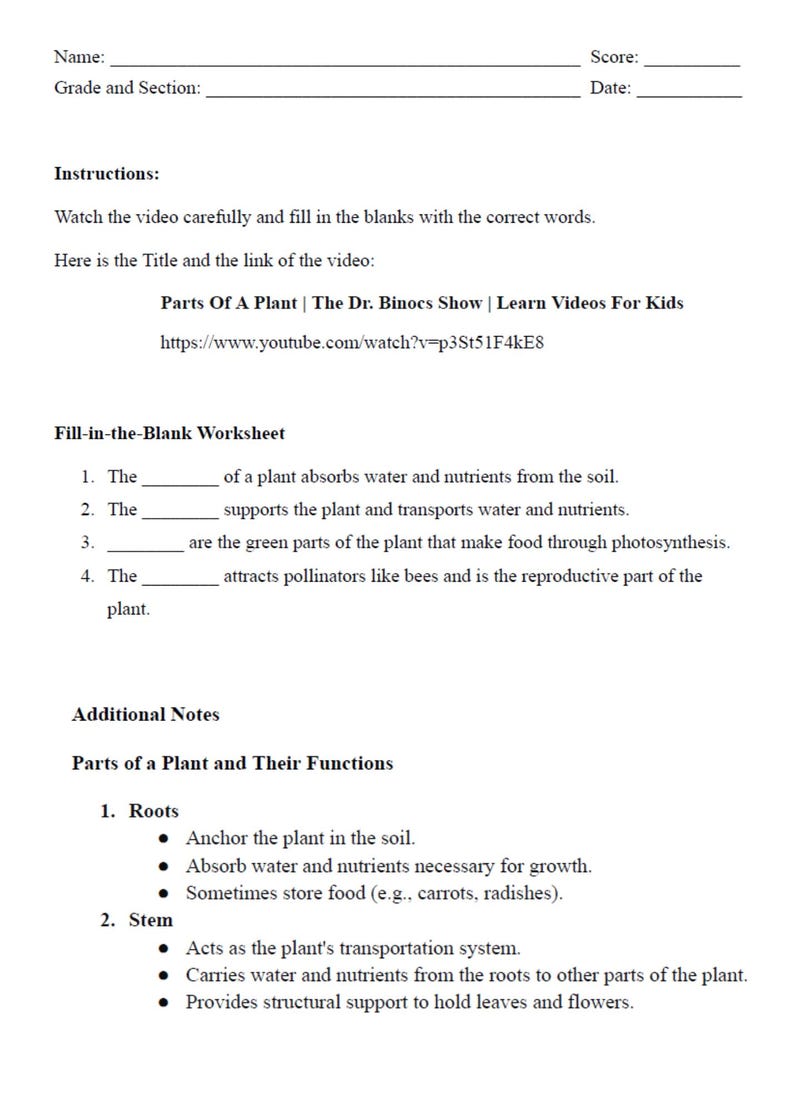 Parts of A Plant the Dr. Binocs Show Learn Videos for Kids Worksheet ...