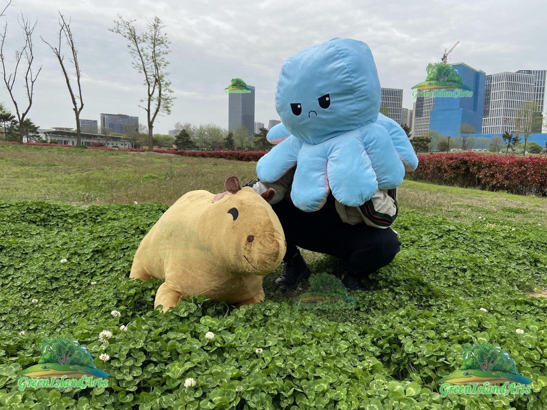 Adorable Capybara Plush Toyscustom Cute Pillows Custom Body - Etsy