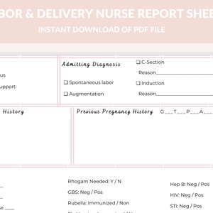 Labor & Delivery Nurse Report Sheet Brain Sheet Printable - Etsy