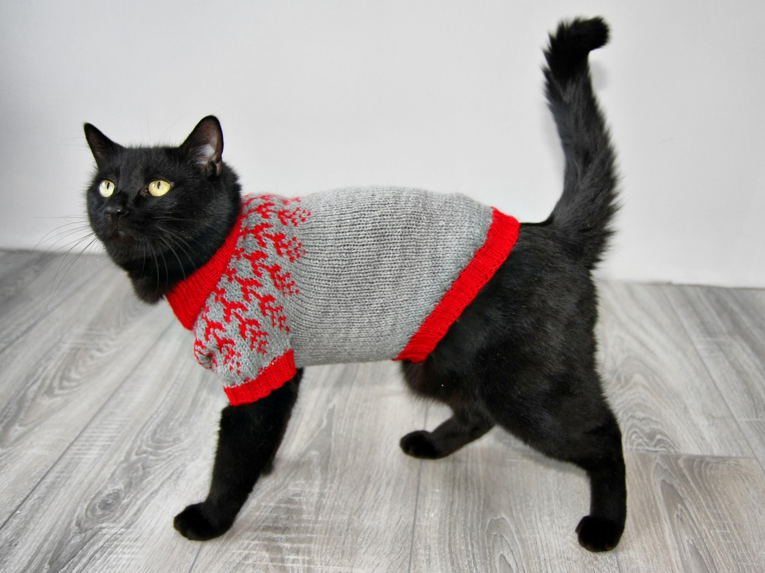 Hand Knitted Cat Sweater 