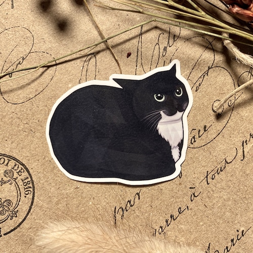 Maxwell the Low Poly Cat Meme Vinyl Sticker - Etsy Canada