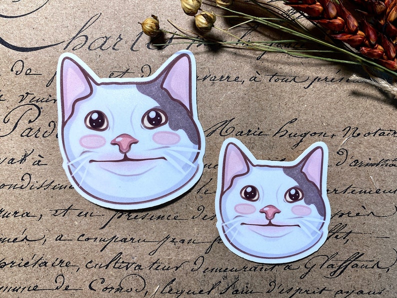 Polite Cat Meme Vinyl Sticker - Etsy