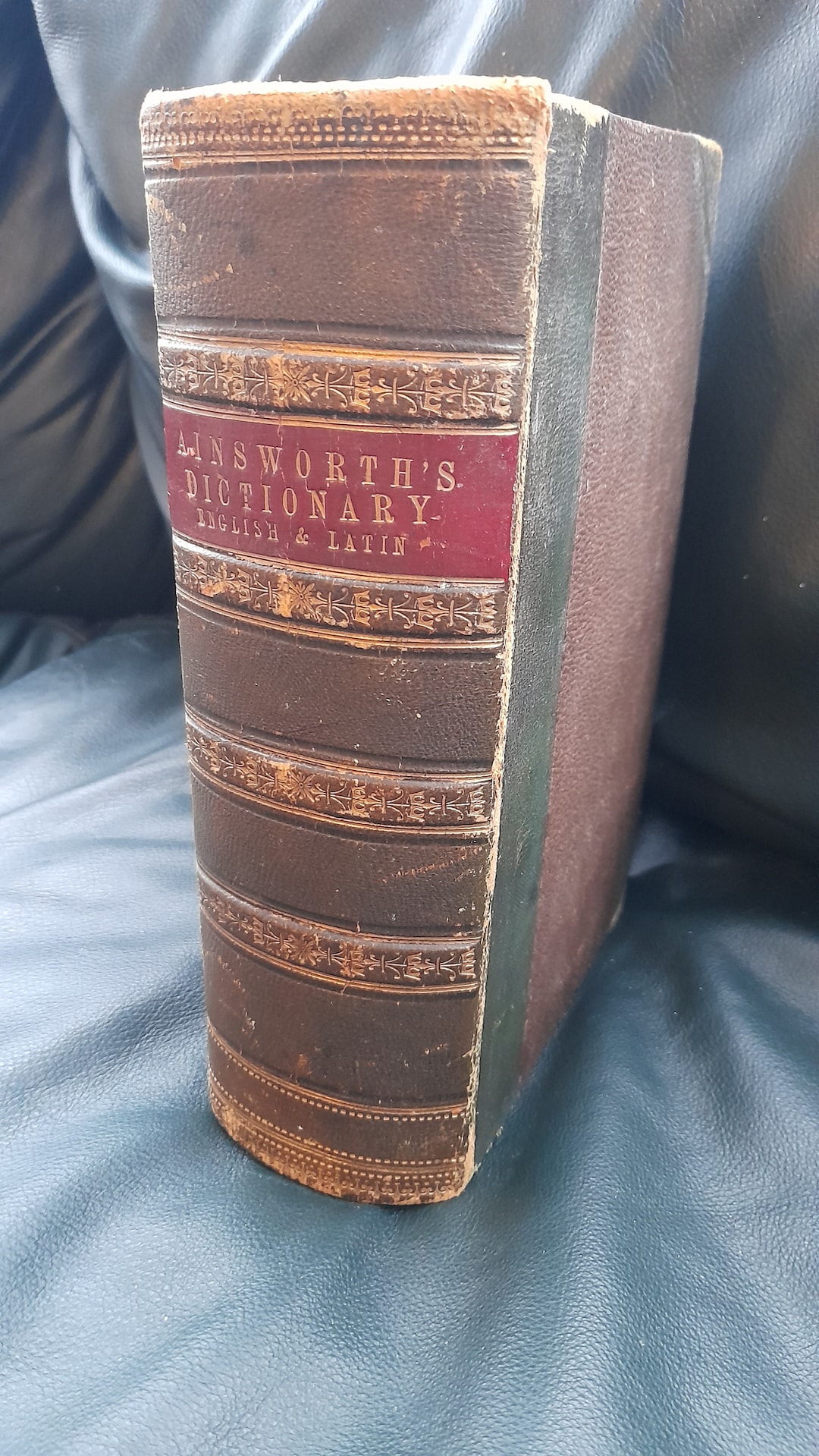 An Abridgment of Ainsworth's Dictionary English and Latin by Thomas ...