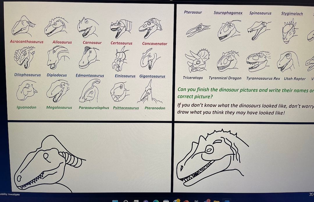 Dinosaur Activity Book, Dinosaur Drawing and Colouring Book, Party ...