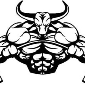 Bull 9 Styles Funny Humor Die Cut Vinyl Decal Sticker - Etsy