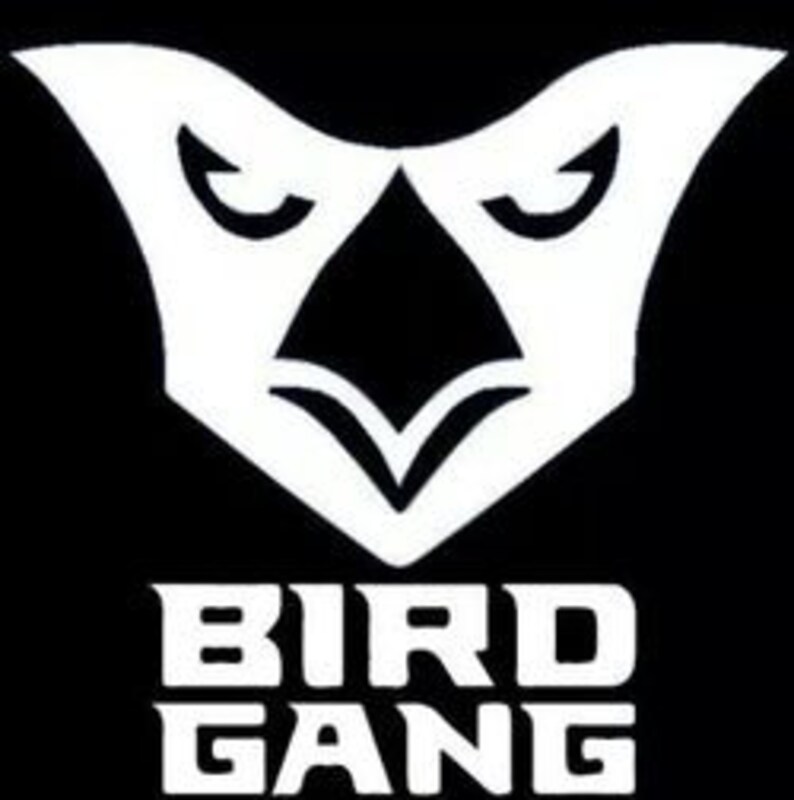 Bird Gang Cursive Cardinals Football Die Cut Vinyl Decal - Etsy