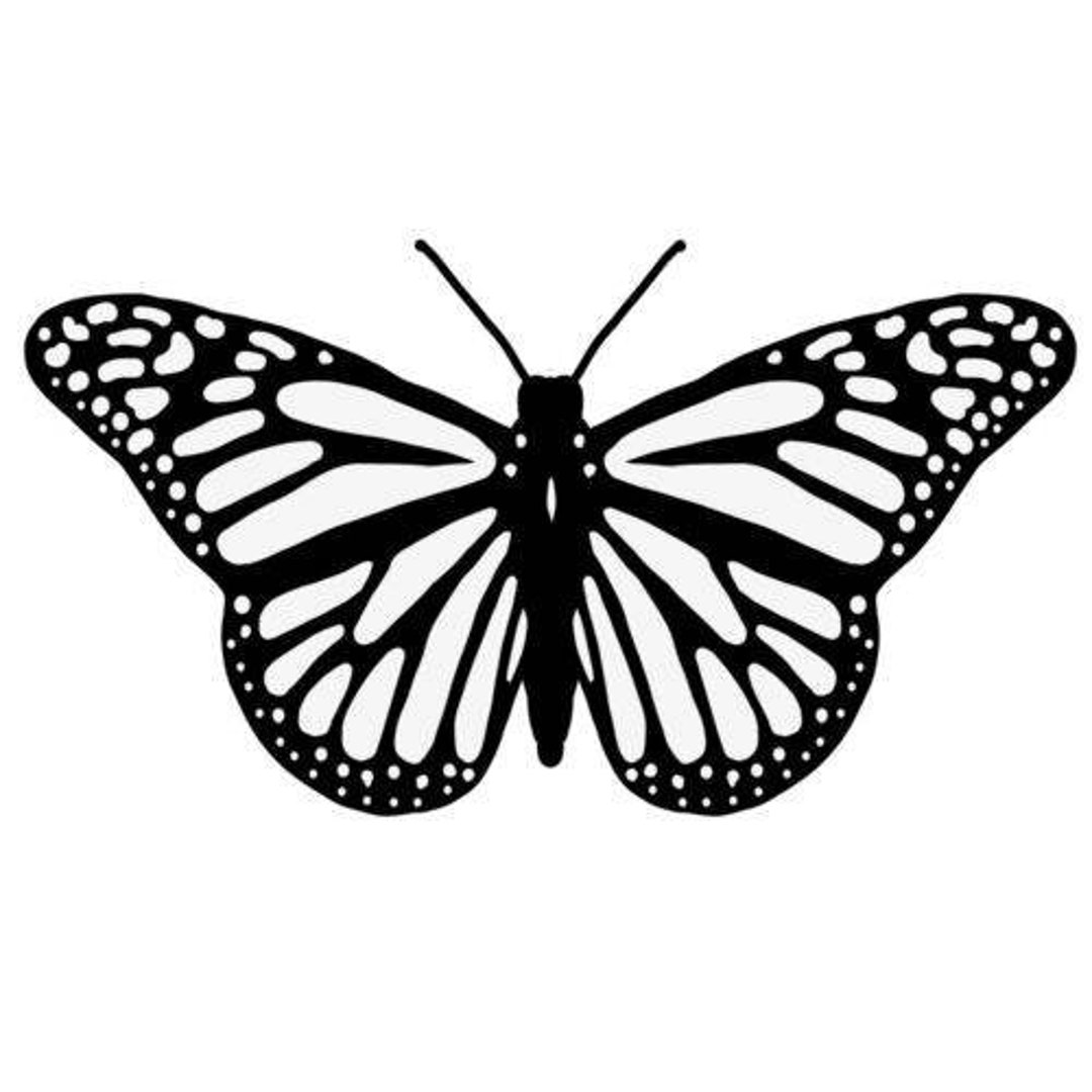 Butterfly Animal Insect Die Cut Vinyl Decal Laptop, Car, Window, 9 ...