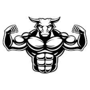 Bull 9 Styles Funny Humor Die Cut Vinyl Decal Sticker - Etsy