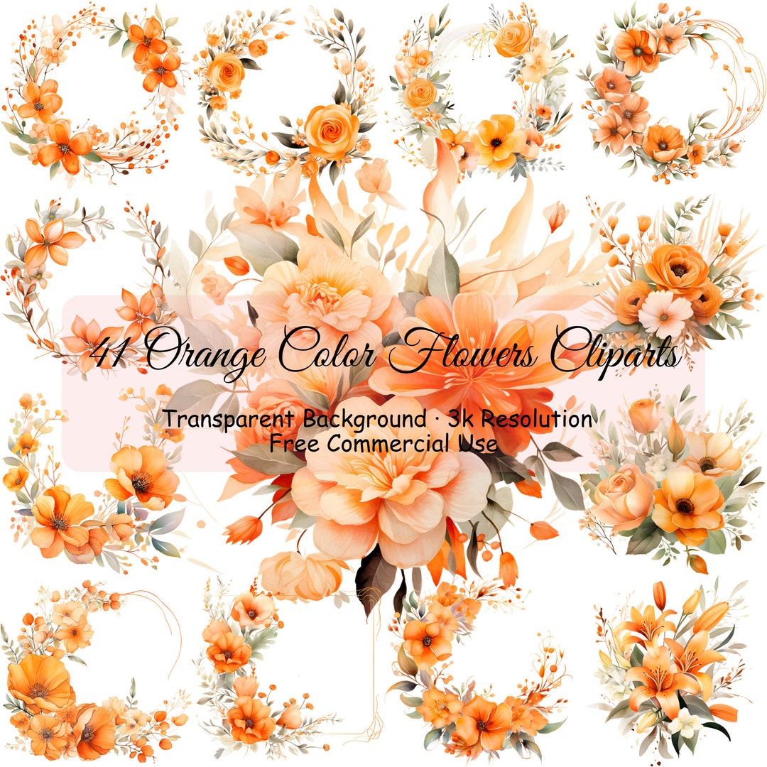 41 Orange Color Flowers Clipart Bundle, Transparent PNG, Flower ...