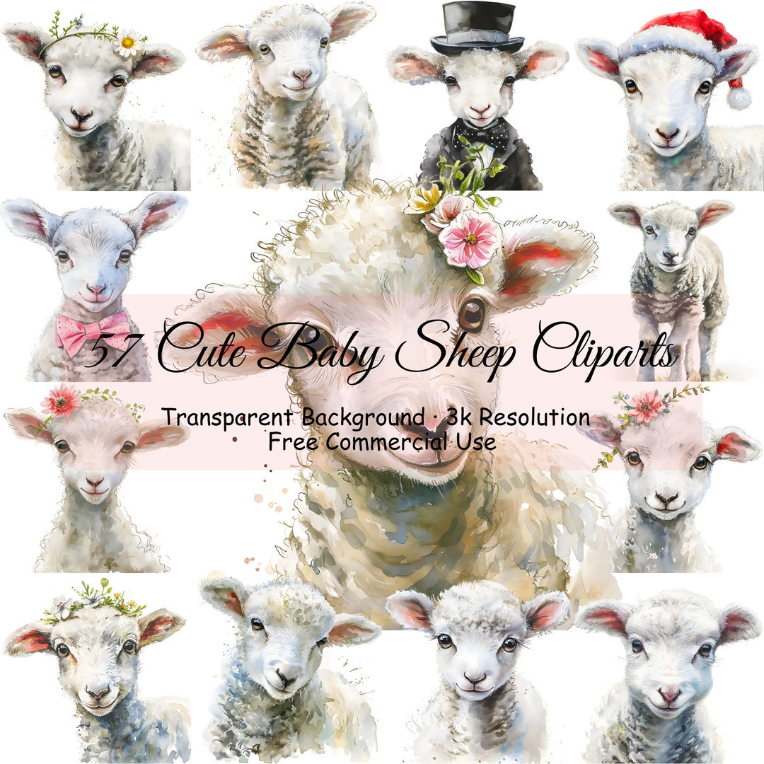 57 Cute Baby Sheep Clipart Bundle, Transparent PNG, Cute Baby Animal ...