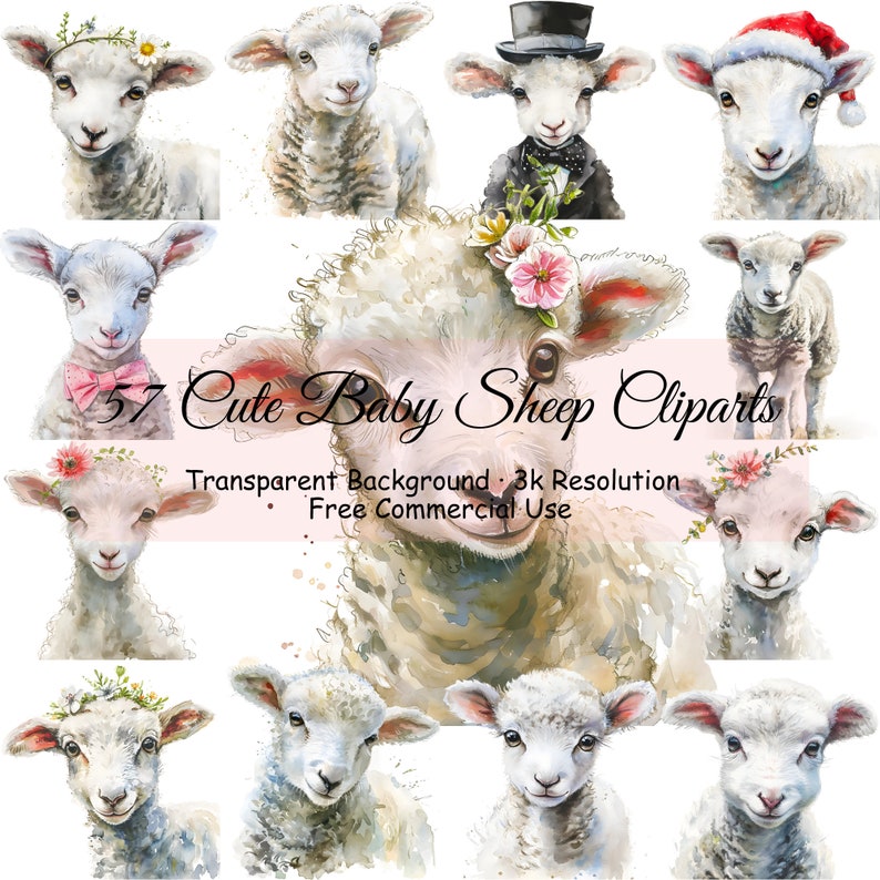 57 Cute Baby Sheep Clipart Bundle, Transparent PNG, Cute Baby Animal, Card Making, Commercial ...