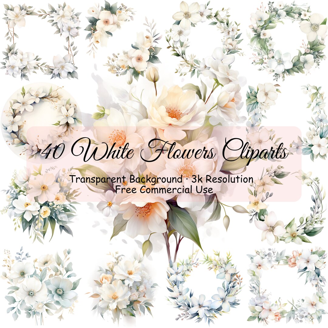 40 White Flowers Clipart Bundle, Transparent PNG, Flower Bouquets ...