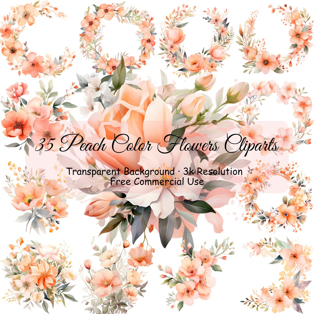 35 Peach Color Flowers Clipart Bundle Transparent PNG Flower - Etsy