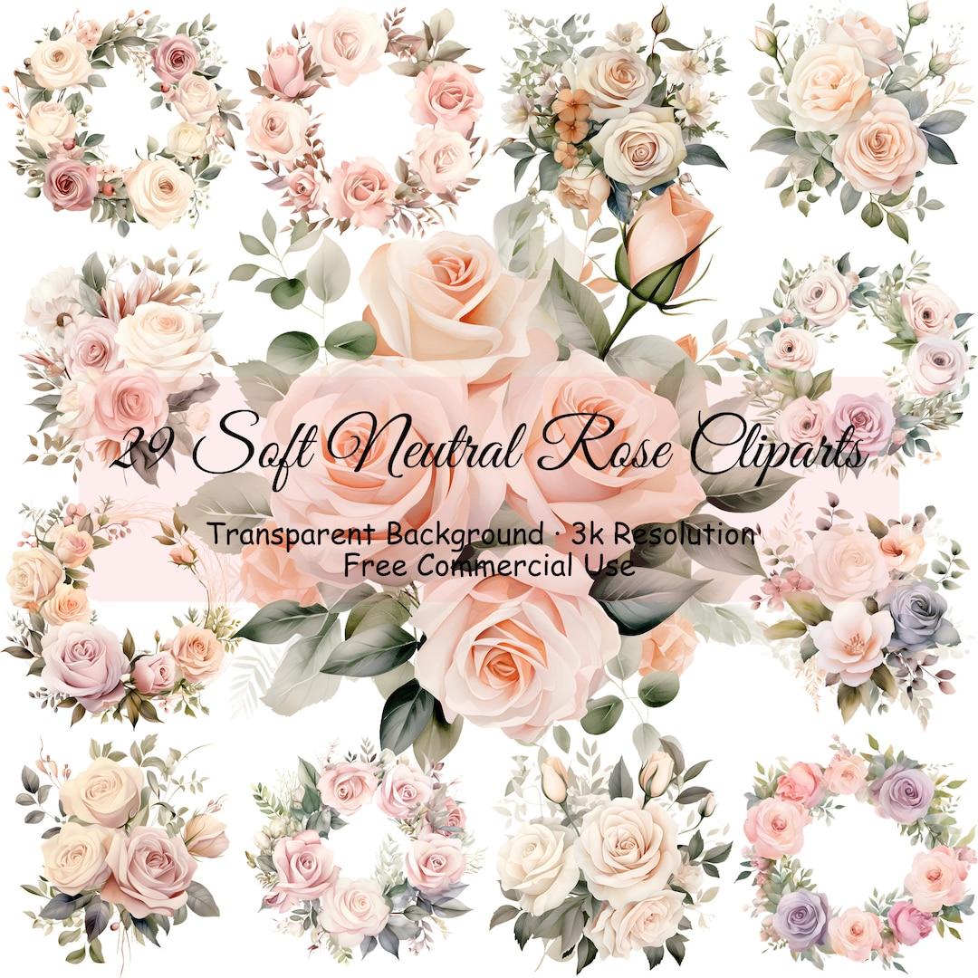 29 Soft Neutral Rose Clipart Bundle, Transparent PNG, Flower Bouquets ...