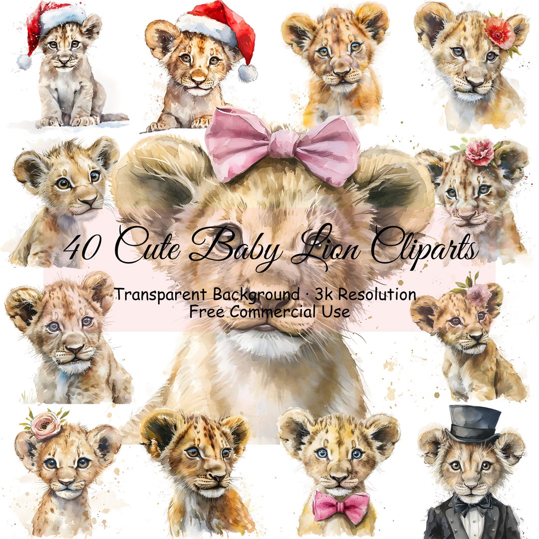 40 Cute Baby Lion Clipart Bundle, Transparent PNG, Cute Baby Animal ...
