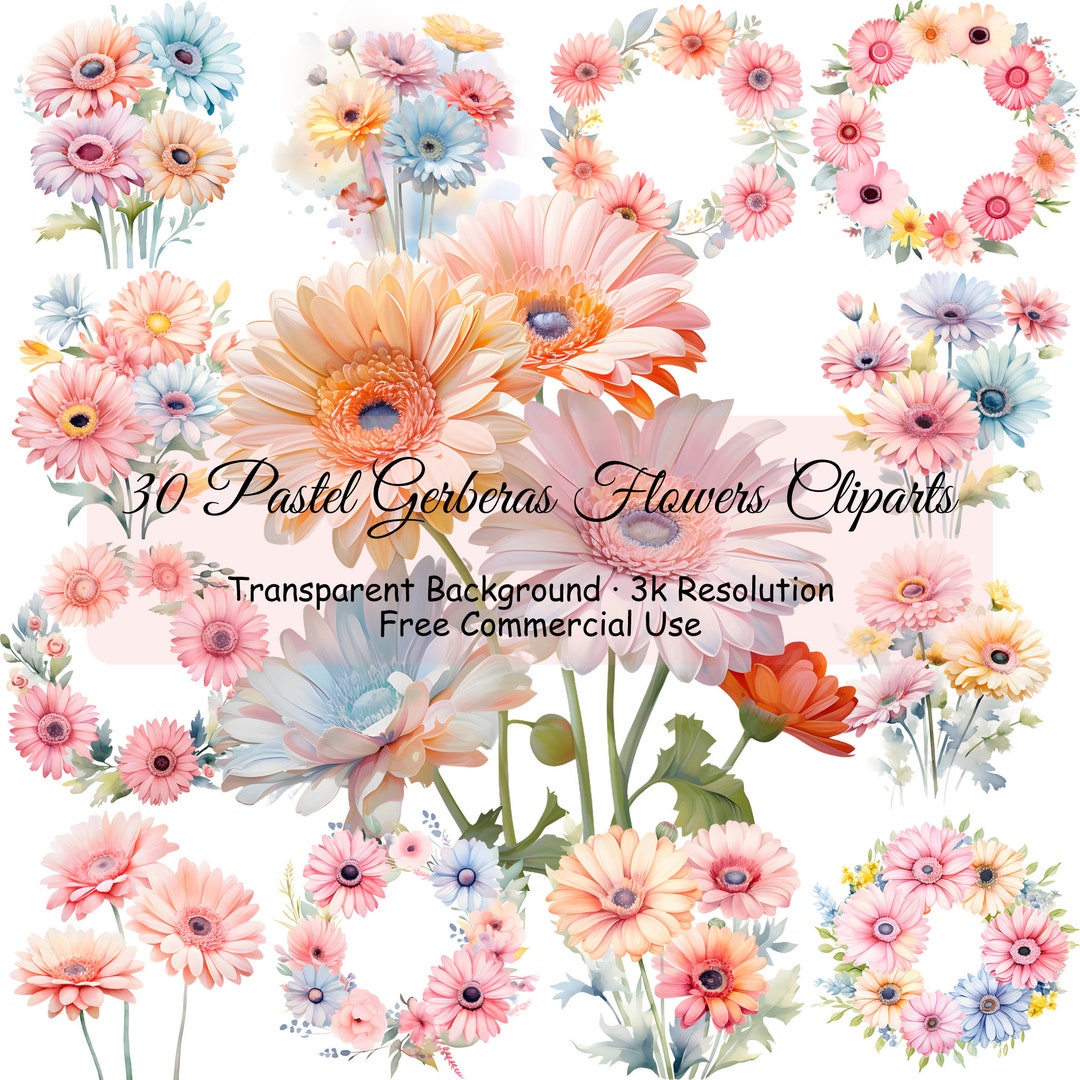 30 Pastel Gerberas Flowers Clipart Bundle, Transparent PNG, Flower ...