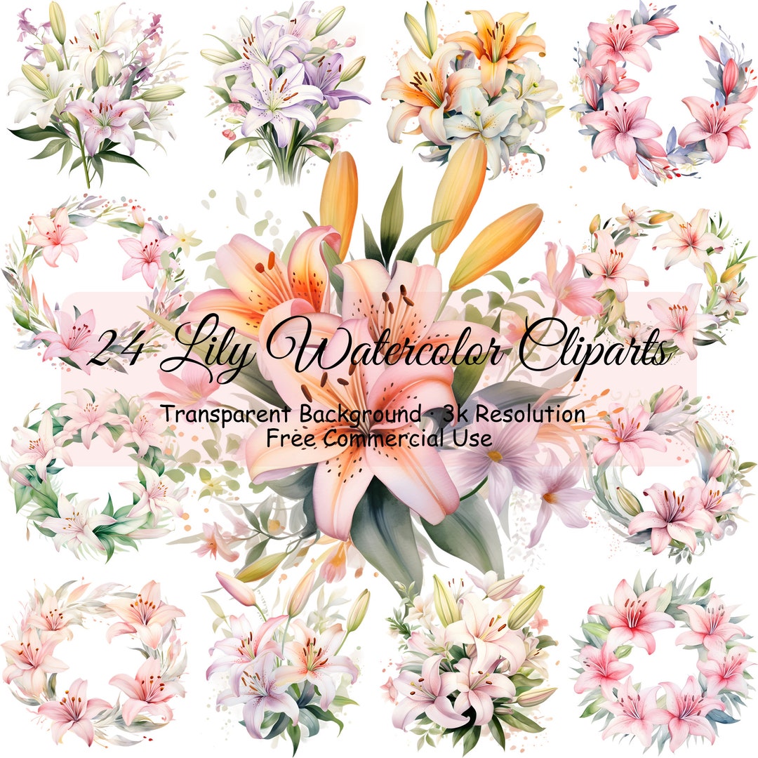 24 Lily Watercolor Clipart Bundle, Transparent PNG, Flower Bouquets ...
