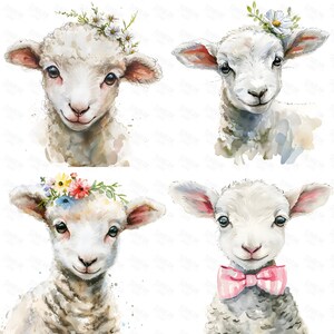 57 Cute Baby Sheep Clipart Bundle, Transparent PNG, Cute Baby Animal ...