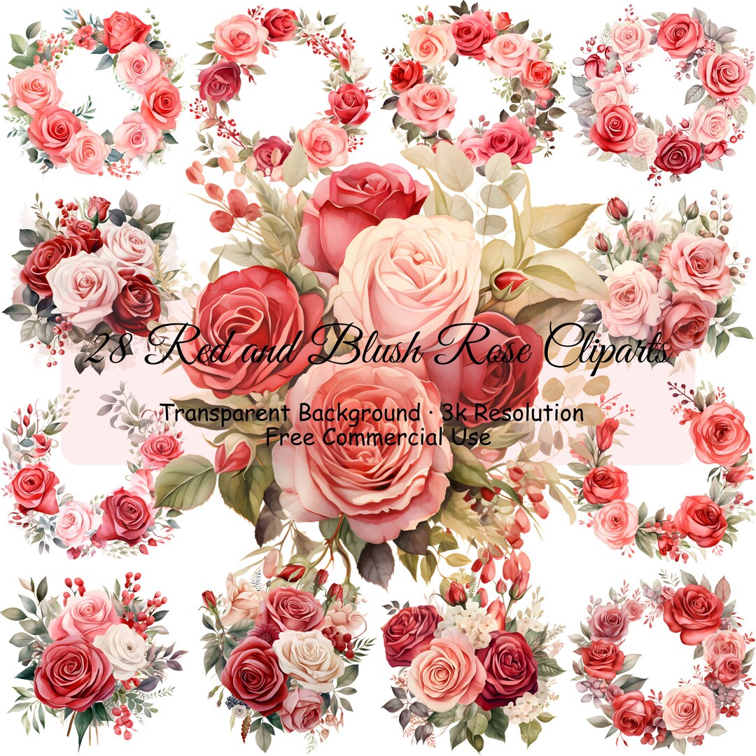 28 Red and Blush Rose Clipart Bundle, Transparent PNG, Flower Bouquets ...