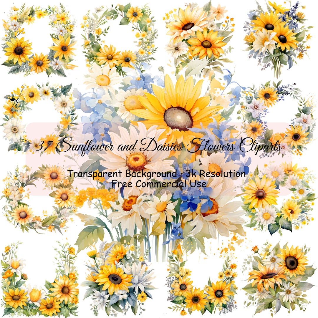 37 Sunflower and Daisies Flowers Clipart Bundle, Transparent PNG ...