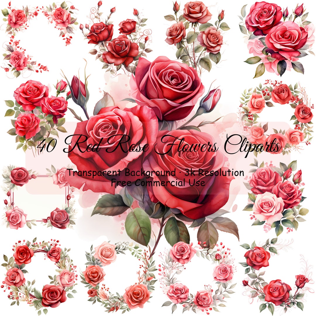 40 Red Rose Flowers Clipart Bundle, Transparent PNG, Flower Bouquets ...