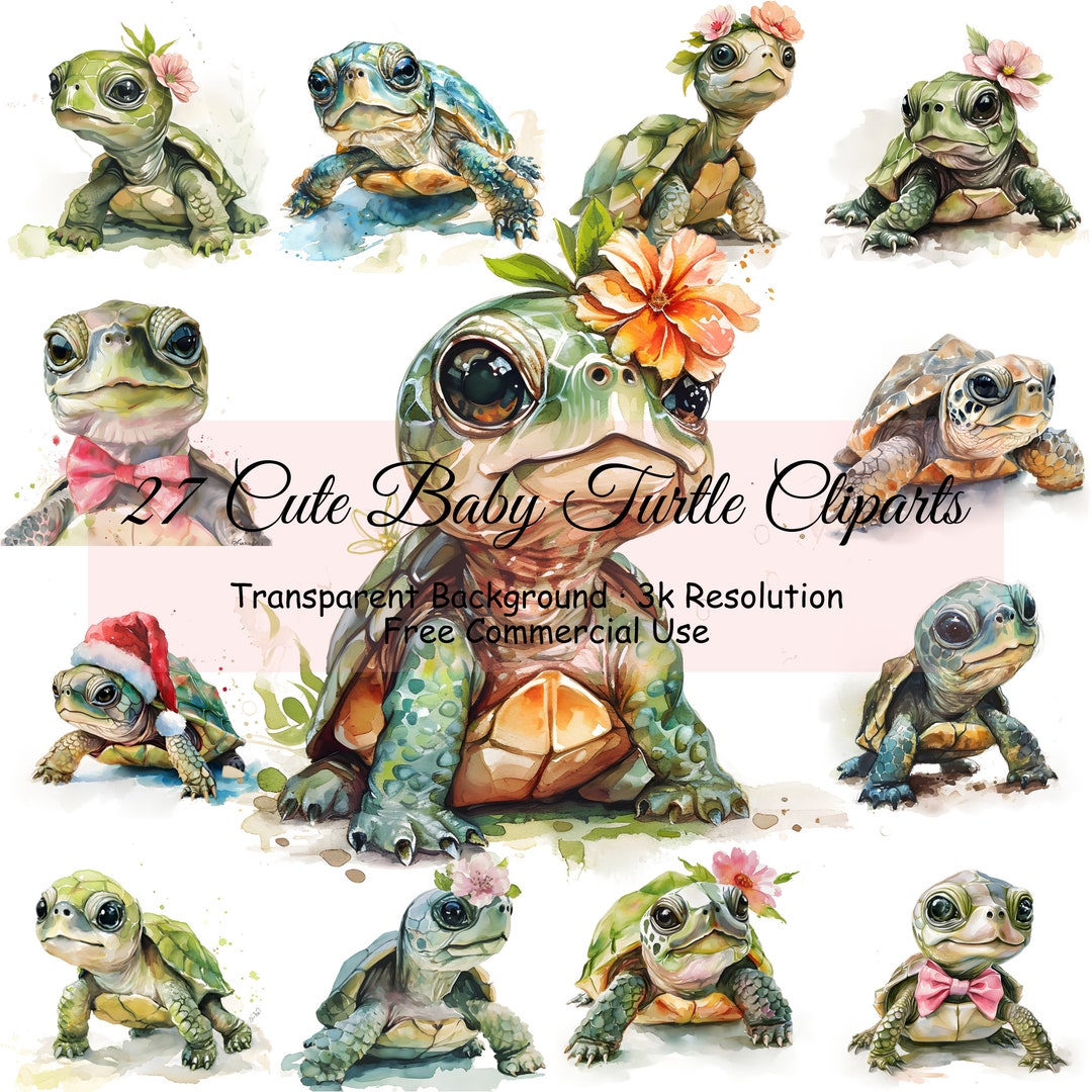 27 Cute Baby Turtle Clipart Bundle, Transparent PNG, Cute Baby Animal ...
