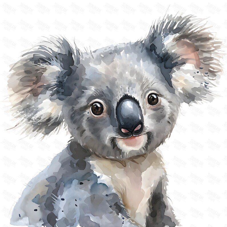 19 Cute Baby Koala Clipart Bundle, Transparent PNG, Cute Baby Animal ...