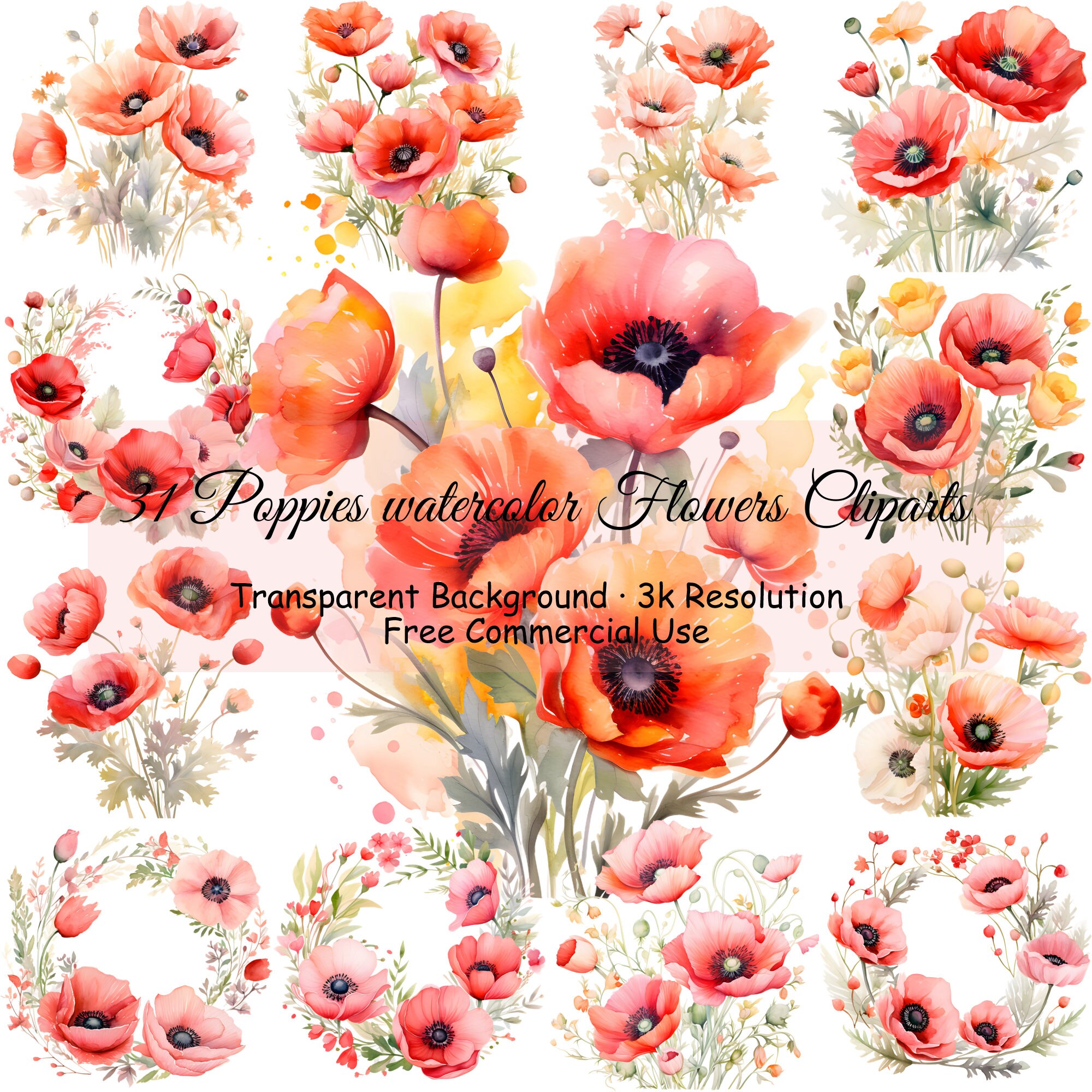 31 Poppies Watercolor Flowers Clipart Bundle, Transparent PNG, Flower ...