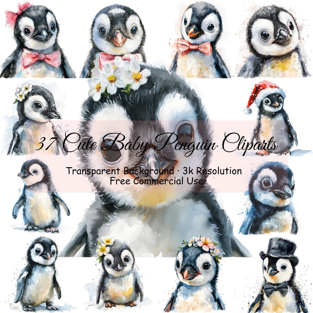 37 Cute Baby Penguin Clipart Bundle, Transparent PNG, Cute Baby Animal ...