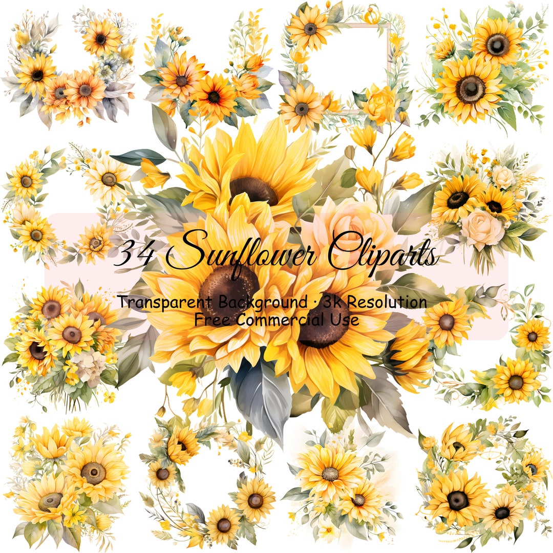 34 Sunflower Clipart Bundle, Transparent PNG, Flower Bouquets, Flower ...