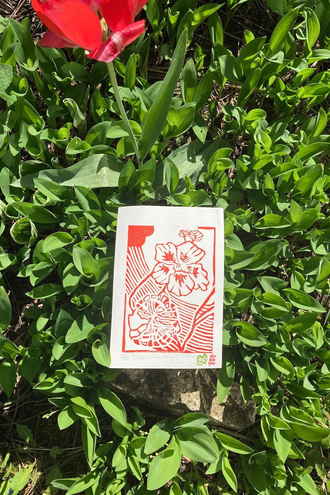 CAPUCINE / Original Handprinted Inspired by Plants / Graphical Indian ...
