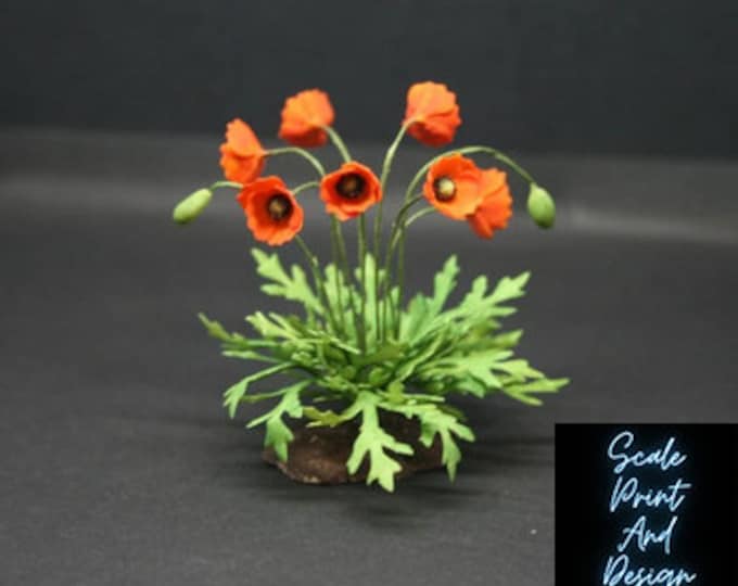 OOAK Somme-poppy ~ Dolls House Miniatures ~ 12th Scale ~ Cold Porcelain ...