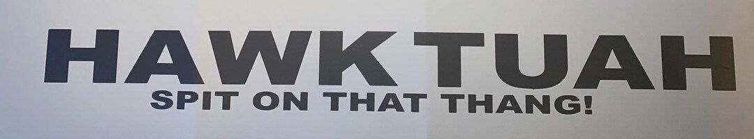 Hawk Tuah Window Decal - Etsy