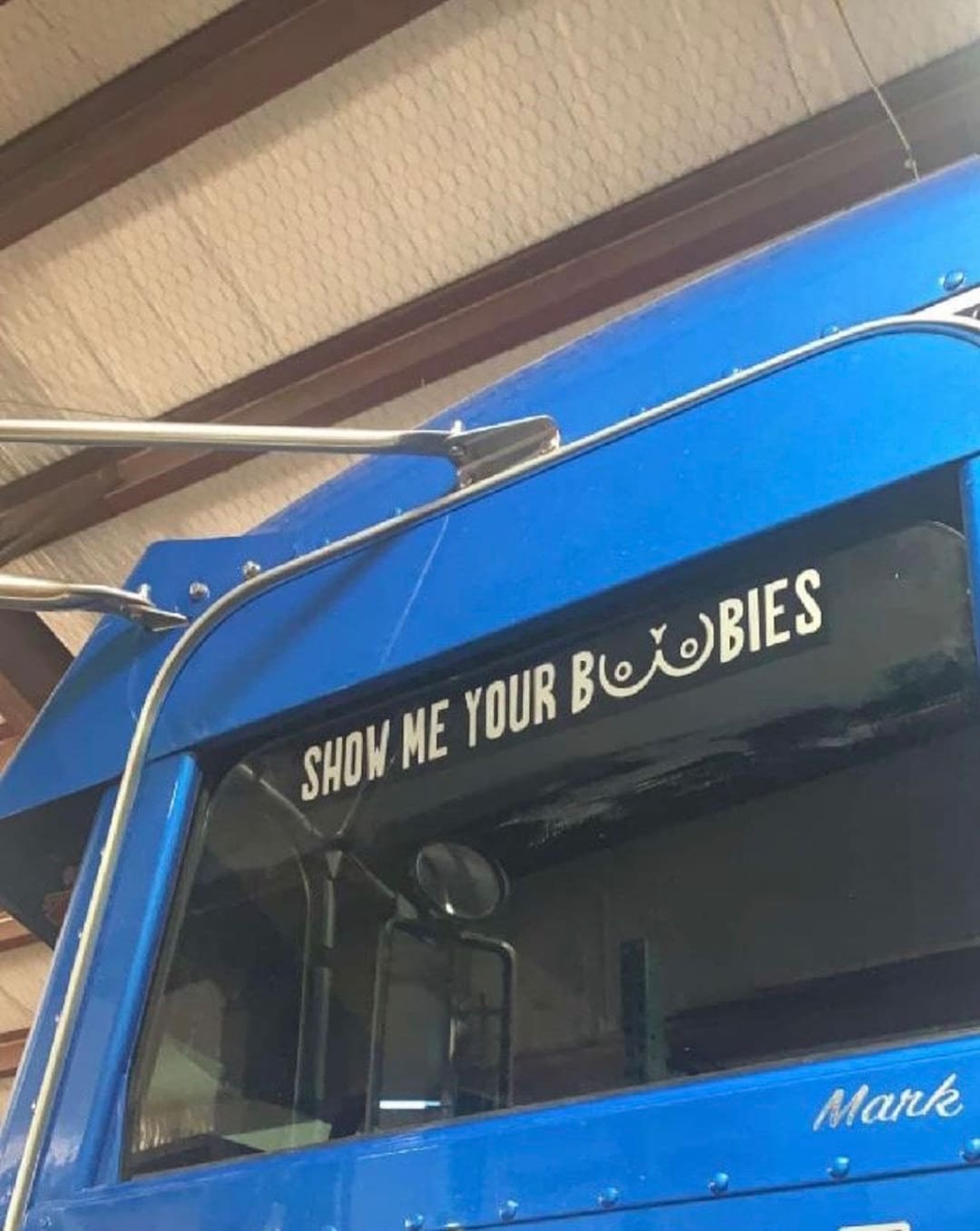 Show Me Your Boobies Window Decal - Etsy