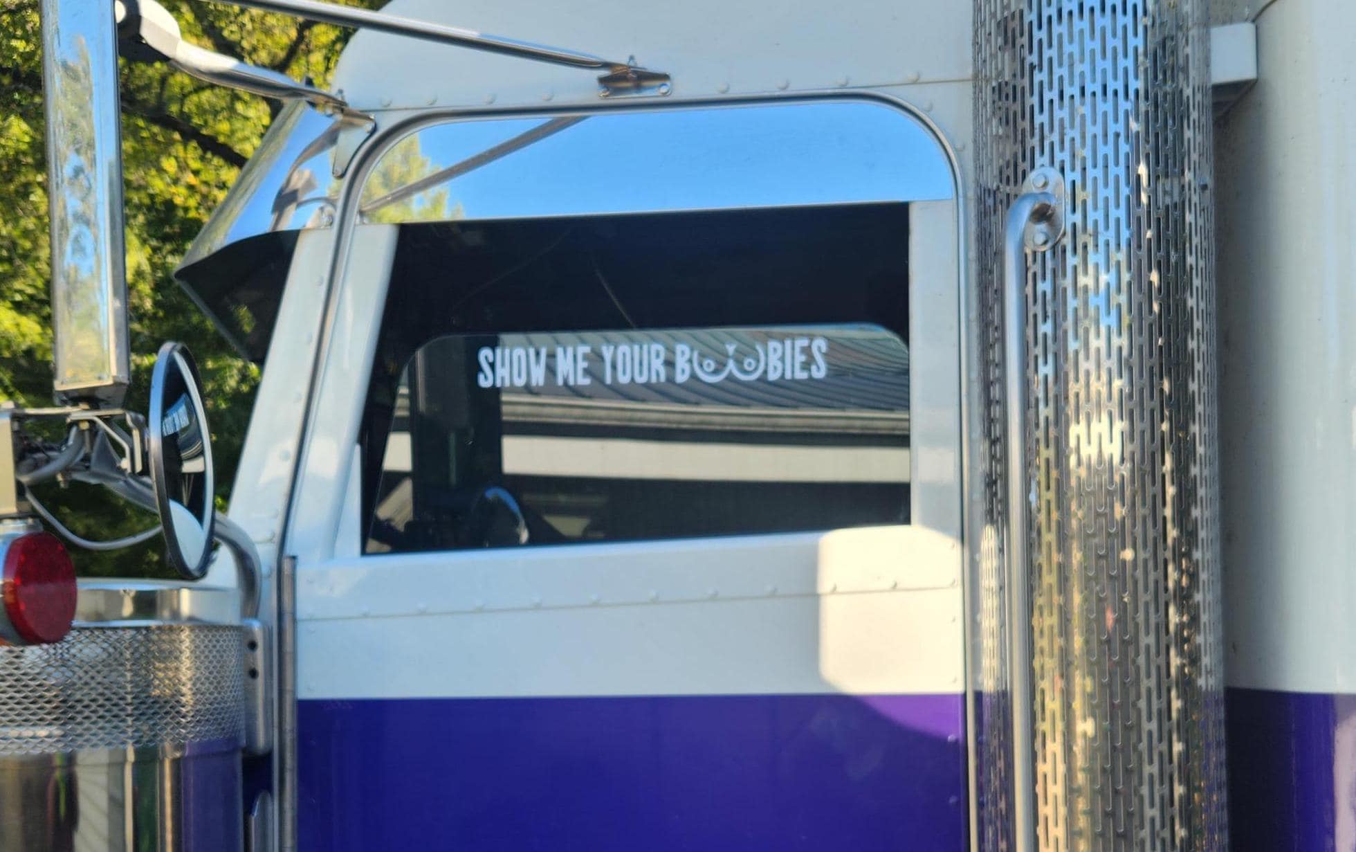 Show Me Your Boobies Window Decal - Etsy